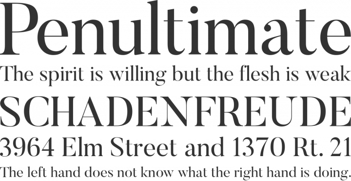 Butler Font Free by Fabian De Smet » Font Squirrel